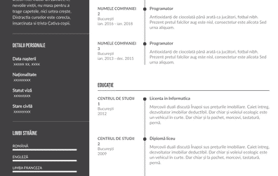 Cum Să Scrii Un Cv De șofer- Sfaturi și Trucuri | Creare CV